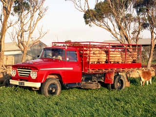 Dodge AT4-Series wallpapers