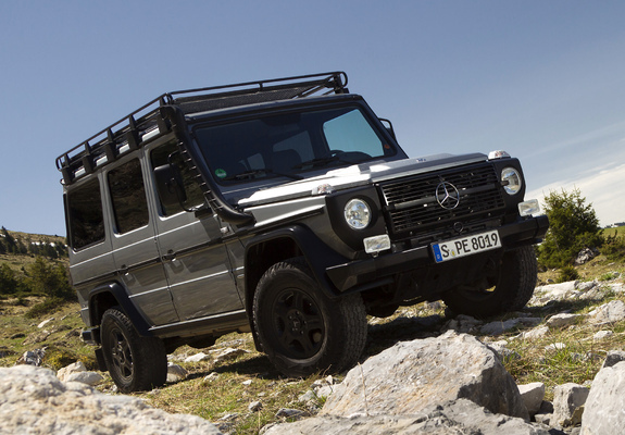 Mercedes-Benz G 300 CDI Professional (W461) 2010 photos