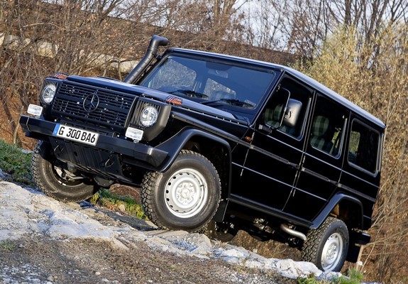 Mercedes-Benz G 300 CDI Professional (W461) 2010 pictures