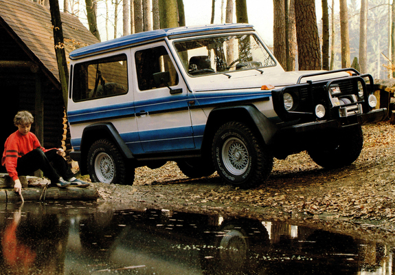 Lorinser Mercedes-Benz G-Klasse SWB (W460) photos