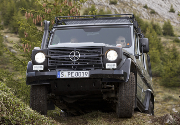 Photos of Mercedes-Benz G 300 CDI Professional (W461) 2010