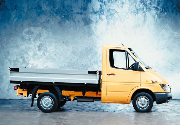 Images of Mercedes-Benz Sprinter Pickup 2000–06