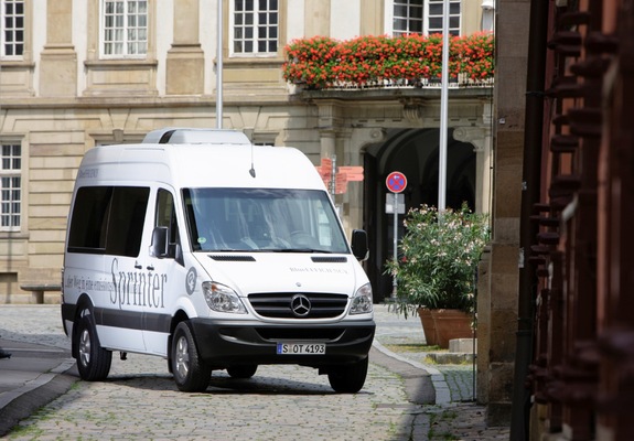 Mercedes-Benz Sprinter BlueEfficiency (W906) 2009–13 images