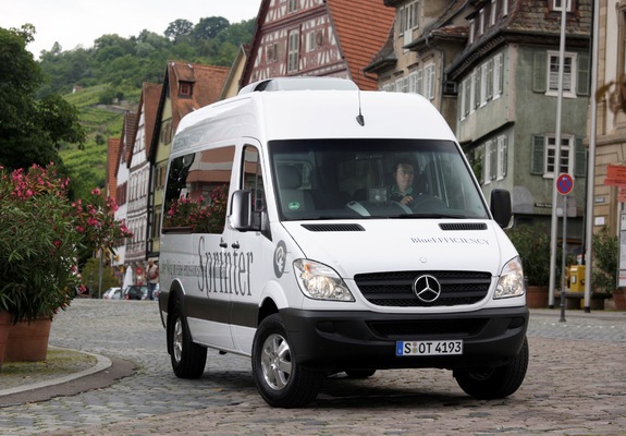 Pictures of Mercedes-Benz Sprinter BlueEfficiency (W906) 2009–13