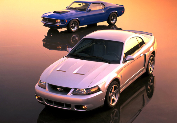 Mustang photos