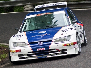 Photos of Peugeot 306 Maxi Kit Car 1996–98